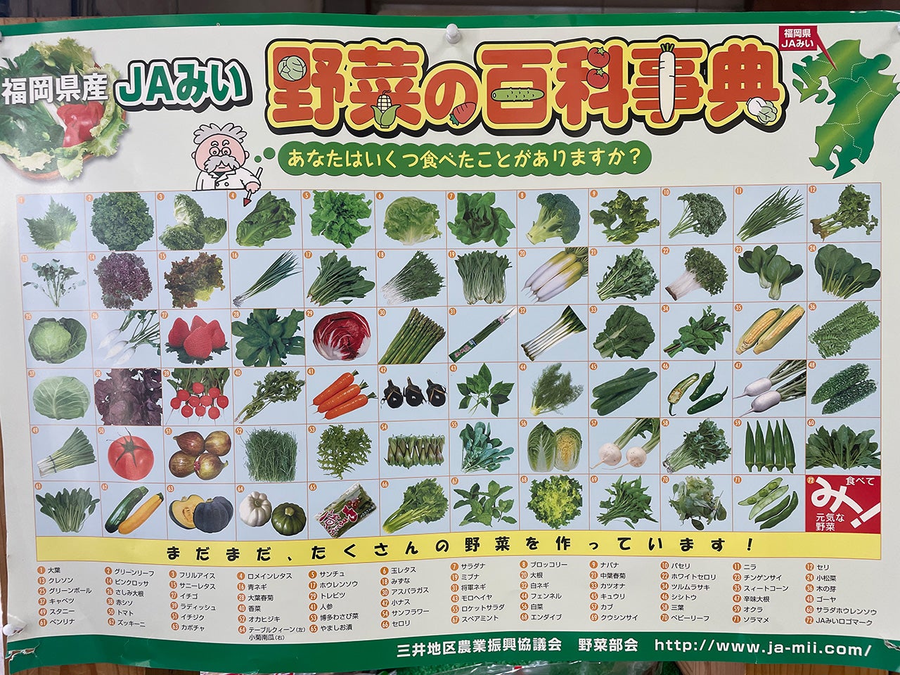 JAみい めぐみの里 堀加寿美 - RKB毎日放送