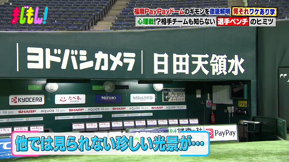福岡ソフトバンクホークスの選手も知らない!? PayPayドーム＆野球の“なぜ”を解決！/何それ!?ワケあり学 - RKB毎日放送