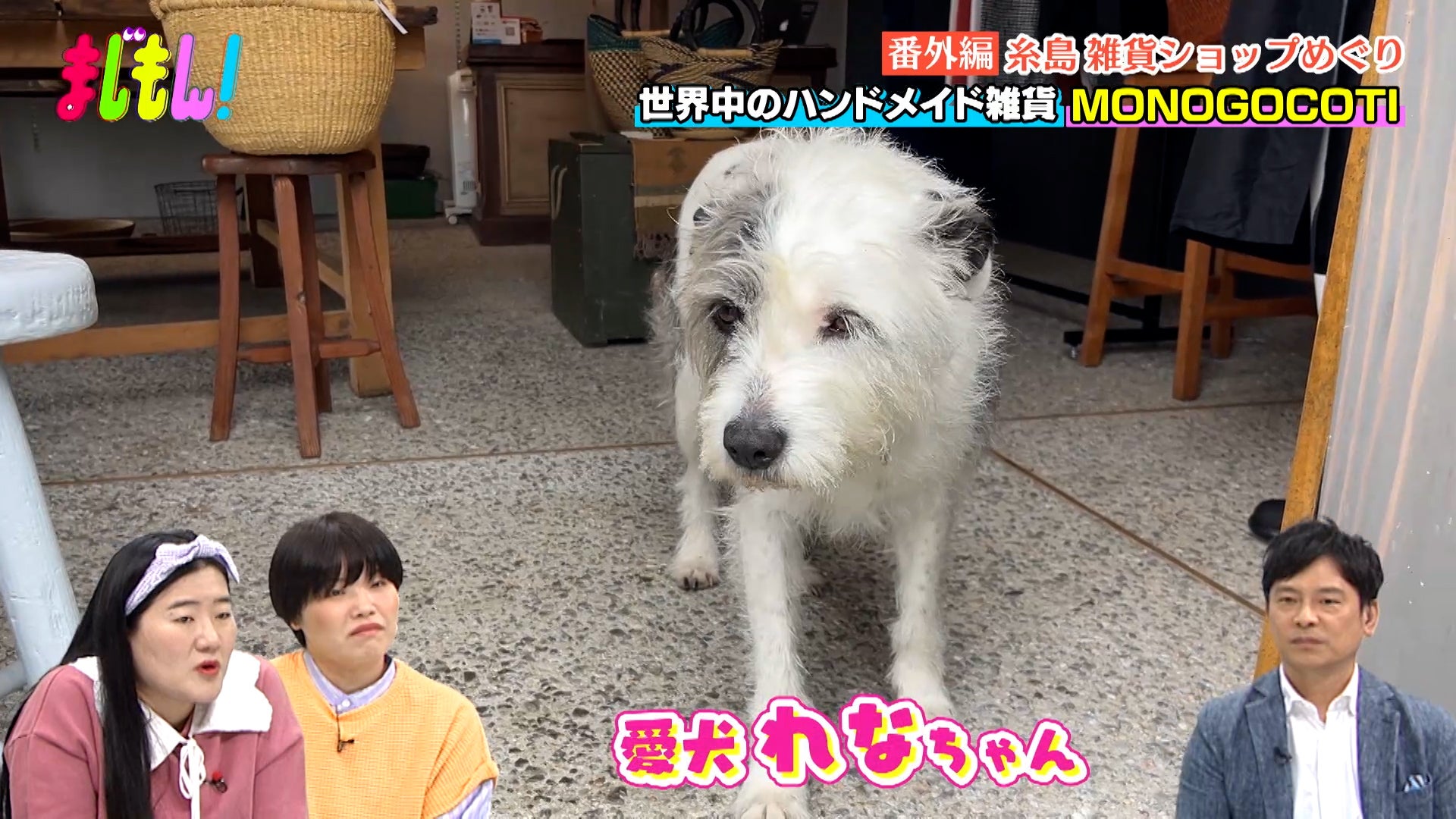 福岡県民5000人が選ぶ！ GWに行きたい福岡・糸島の人気スポットTOP20 - RKB毎日放送