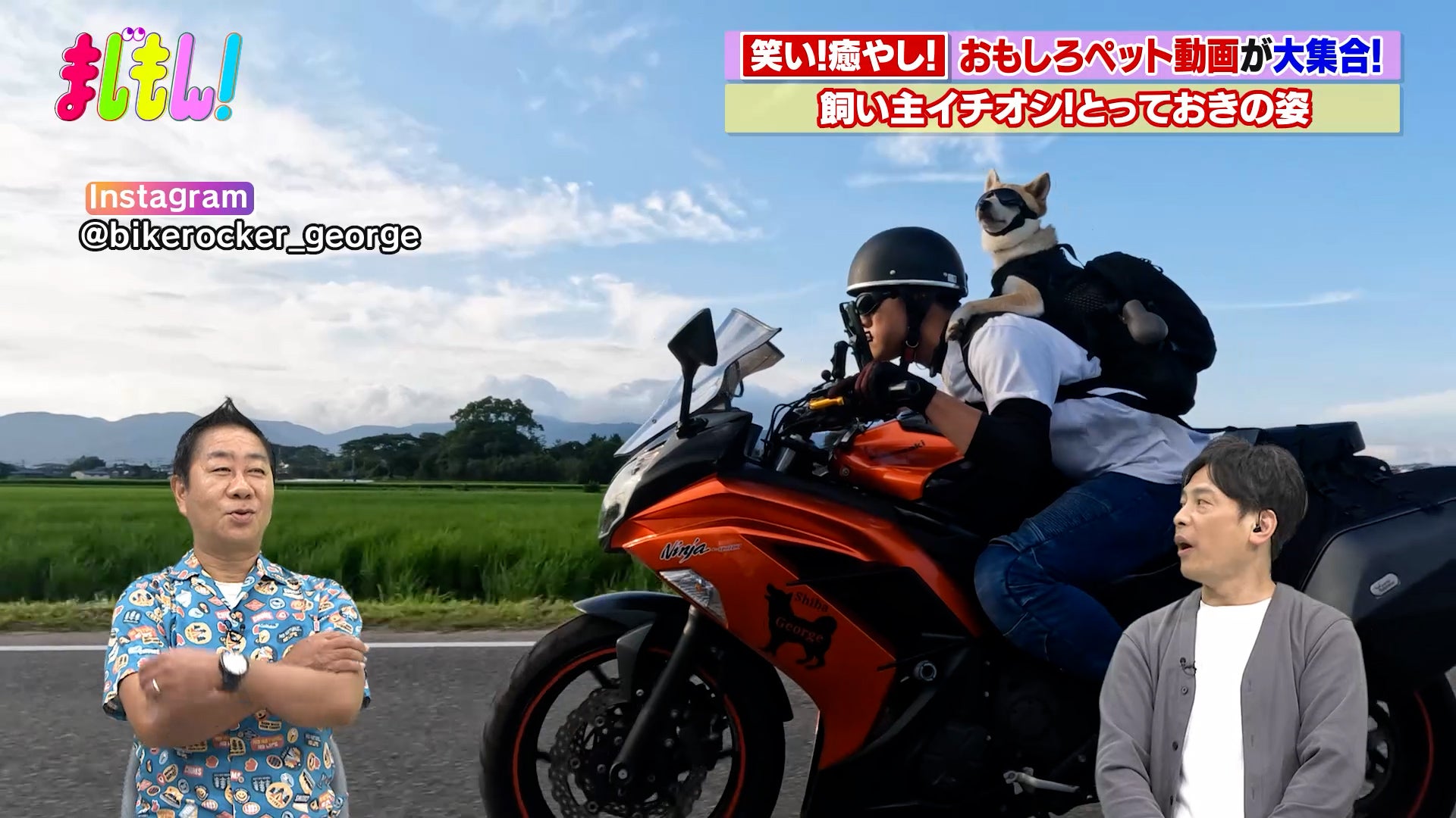 笑って癒やされるペット大特集！ 最新ペット家電やペットグッズも紹介 - RKB毎日放送