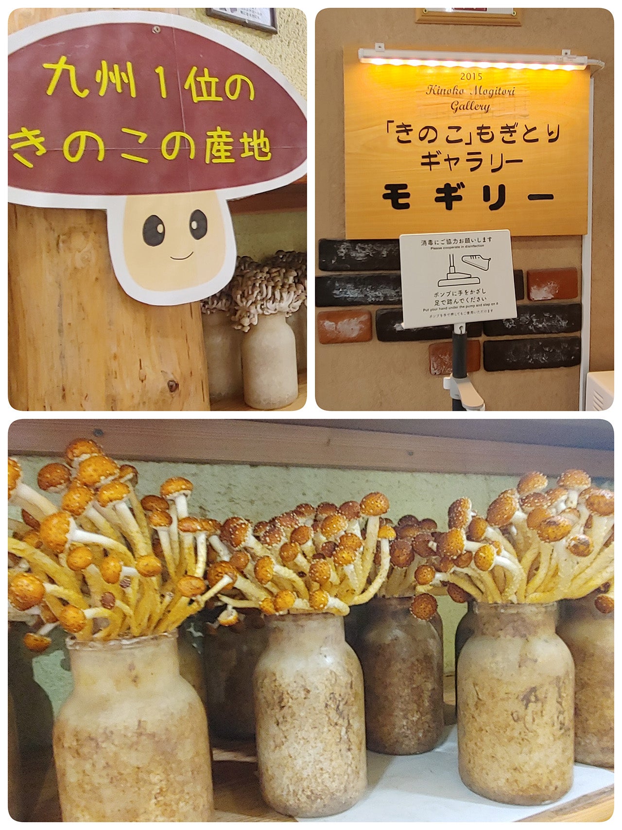 JA福岡大城 くるるん夢市場 明光院昌子 - RKBオンライン