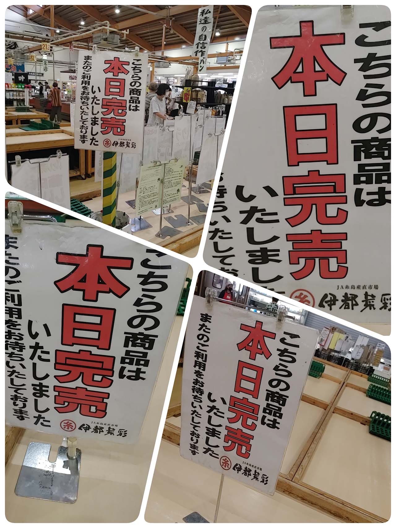 JA糸島 伊都菜彩 明光院昌子 - RKB毎日放送