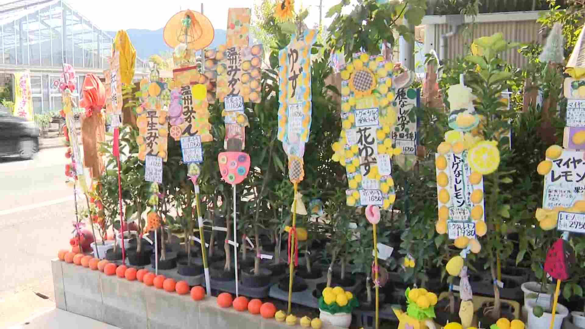 食と緑に囲まれた“秋”を満喫「グリーンマルシェ」に100万本の花やご当地グルメ - RKB毎日放送