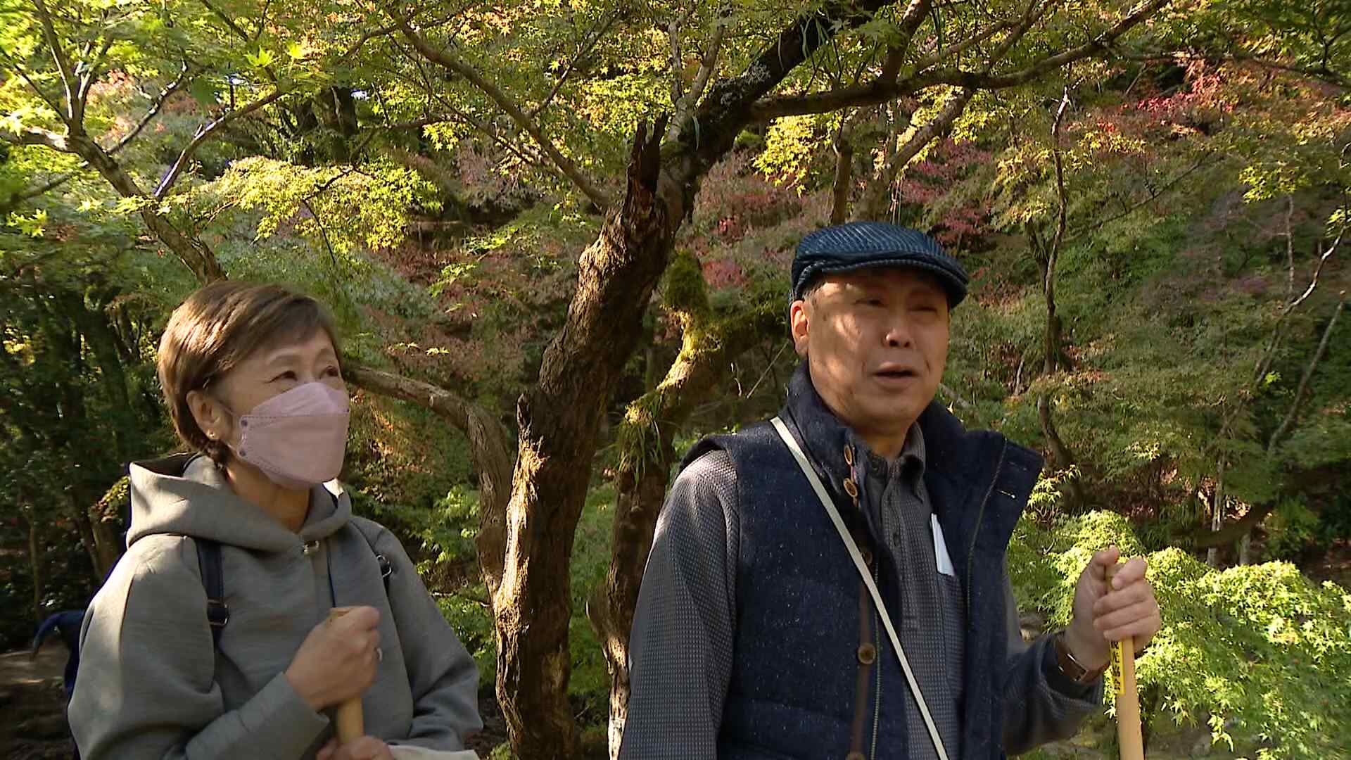 秋なのに・・・緑が映える庭園や色鮮やかな魚が泳ぐ海 美しい自然の影で進む温暖化 カメラが捉えた30年の変化 - RKB毎日放送