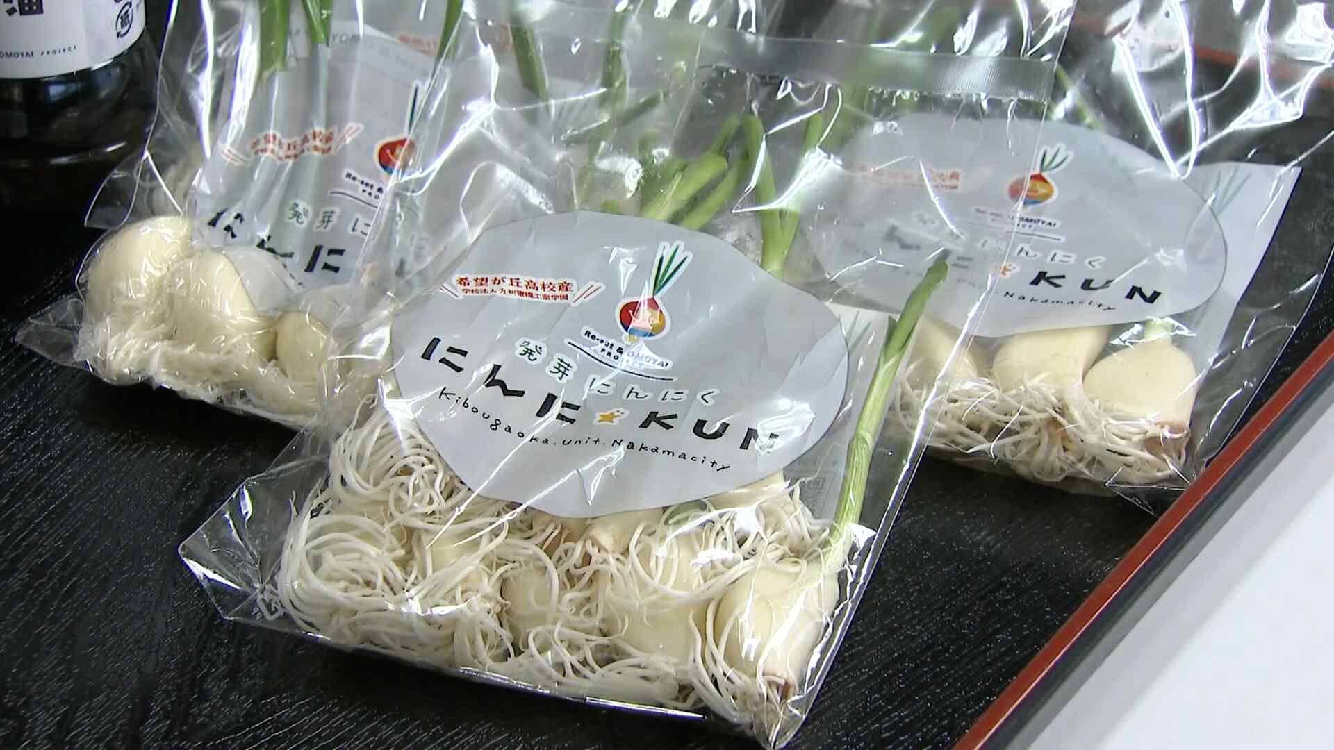 高校に誕生！“にんにく部”水耕栽培で生産～ふるさと納税の返礼品にも“においが残りにくい特徴” - RKB毎日放送