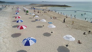 世界で開け！沖縄発ビーチパラソル - RKB毎日放送