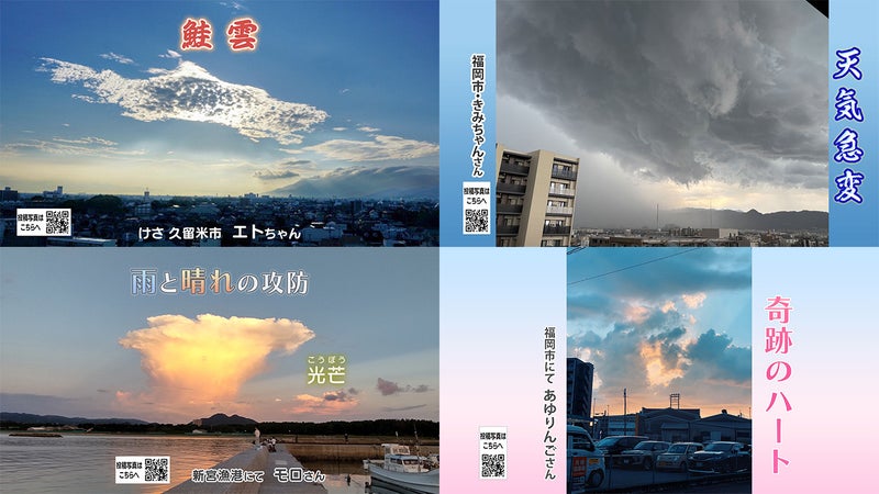 投稿ピクチャーズ：2025年8月20日（水）～8月26日（火） - RKB毎日放送